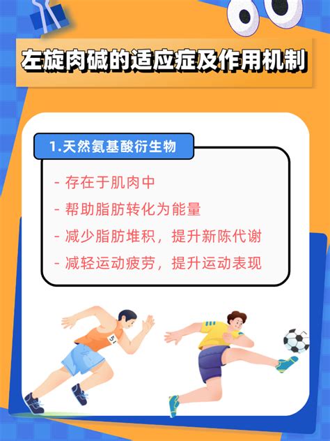 左旋肉碱：了解作用与正确使用，轻松迈向健康 家庭医生在线家庭医生在线首页频道