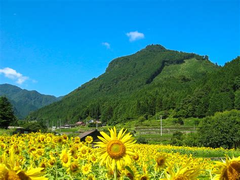 求菩提山豊前観光スポット 道の駅 豊前おこしかけ