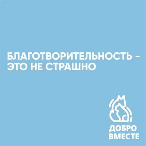 Добро Вместе Краудфандинговая платформа помощи бездомным животным