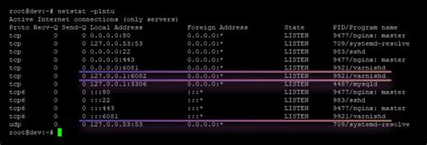 Speed Up Magento 2 With Varnish And Nginx As Ssl Termination On Ubuntu Olegnax