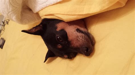 Ada Lovelace S Homepage On MyFreeCams Com