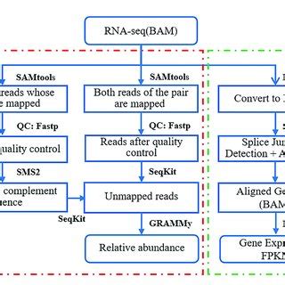 Flow Chart Of RNA Seq Sequencing Data Processing Download Scientific Diagram