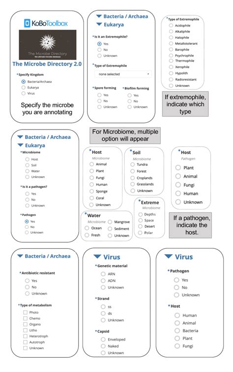 Kobotoolbox Interface English Version The Survey Allows Users To