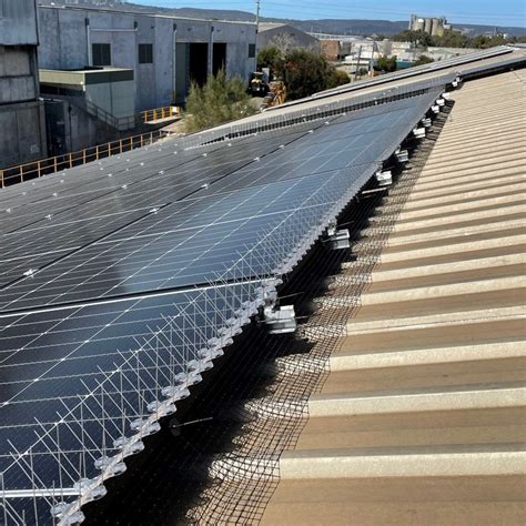 Bird Proofing Solar Panels Protective Mesh Keeps Them Out