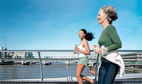 Dexa Scan Scores And Everything You Need To Know Algaecal