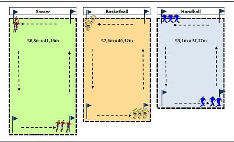 Figure 1 From Comparison Of Maximal Aerobic Speeds Of Team Sport Athletes And Investigation Of