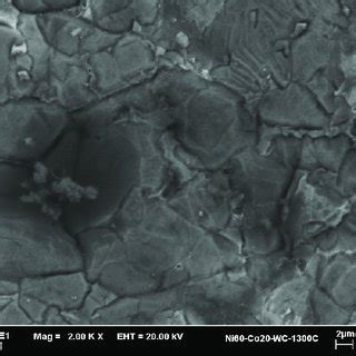 SEM View Of Ni Co WC Composite 1 200 C Download Scientific Diagram