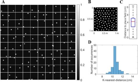 Matlab Map Cells From Postings