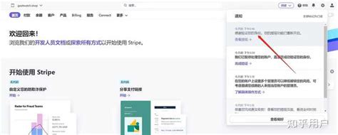 中国商家怎么接入stripe支付？ 知乎