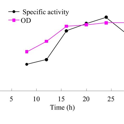 The Optimization Of Fermentation Time On Pichia Pastoris Cell Download Scientific Diagram