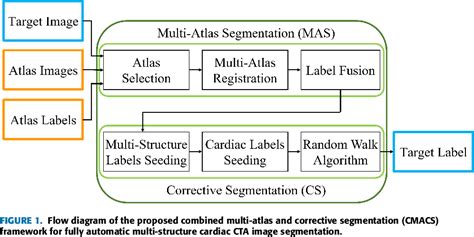 Figure 1 From Simultaneous Multi Structure Segmentation Of The Heart And Peripheral Tissues In