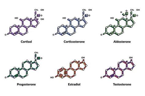 Structure Of Amlodipine