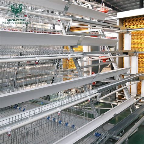 Poultry Farming Modern System Automatic A Type Battery Egg Layer
