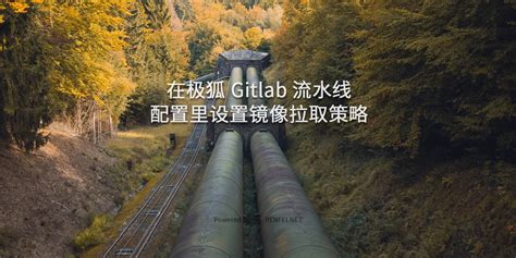 在极狐 Gitlab 流水线配置里设置镜像拉取策略 博客文章 任霏的个人博客网站
