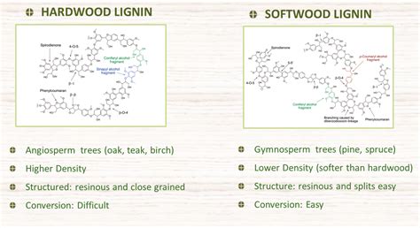 How About Lignin