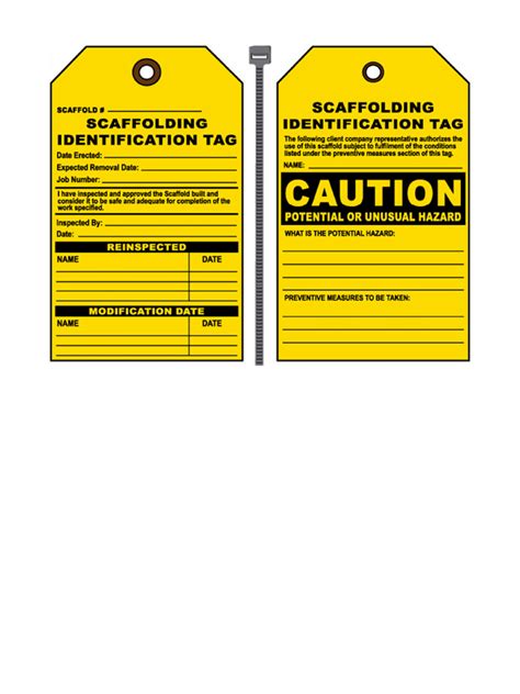 Scaffolding Tagging Pdf Scaffolding Tagging Pdf