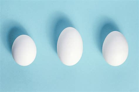 파란색 배경에 세 개의 독특한 흰색 닭고기 달걀 상위 뷰 천연 전체 다양한 크기의 계란 건강한 식생활 및 다이어트 개념 0명에 대한 스톡 사진 및 기타 이미지 Istock