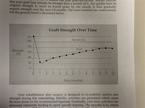 Good Fitness Great Life ACL Graft Strength Over Time