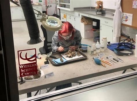 Virtual Programming — Western Science Center