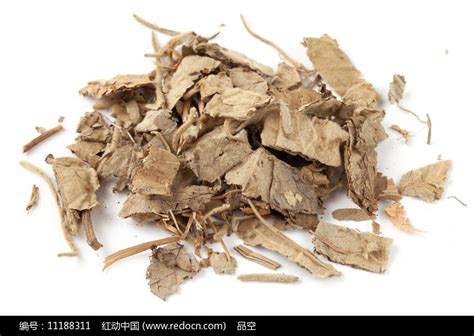 中药寻骨风白背景高清图片下载 红动中国