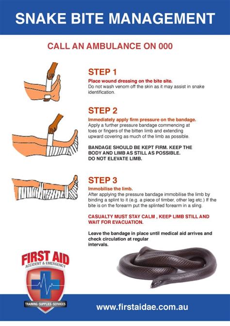 First Aid Treatment Snake Bite Australia At Oscar Trundle Blog