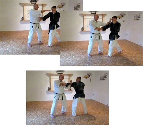 My Interpretation Uchi Uke Jissen Karate