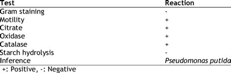 Biochemical And Characterization Of Strains Of Pseudomonasputida Download Scientific Diagram