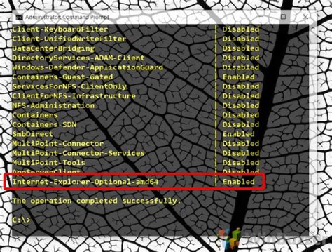 How To Uninstall Internet Explorer In Windows Or Enable It Again WinBuzzer