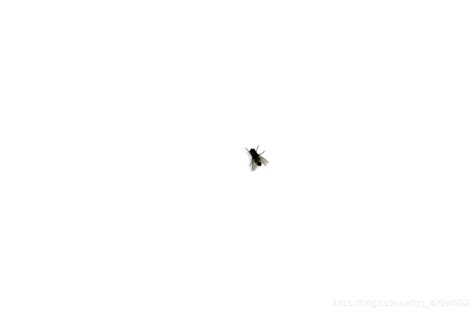 【ctf】bugkuctf 分析 抓到一只苍蝇ctf中的抓到一只苍蝇 Csdn博客