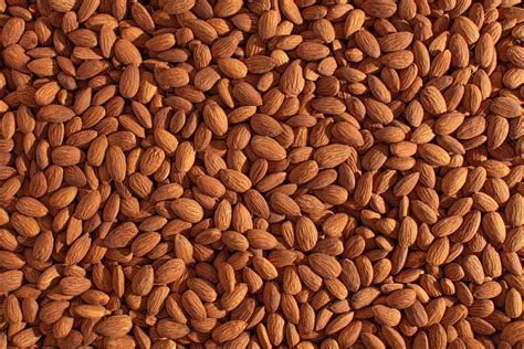 Dry Roasted Natural Whole Almonds Treehouse California Almonds
