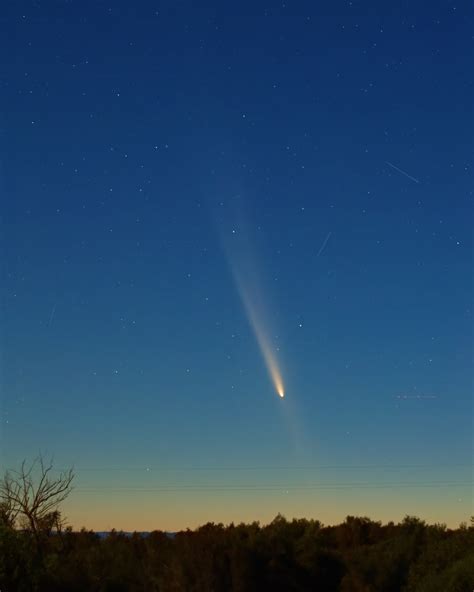 Cannot Open Some Nef Files Invalid Vector Subscript” Bugs And Issues Topaz Community