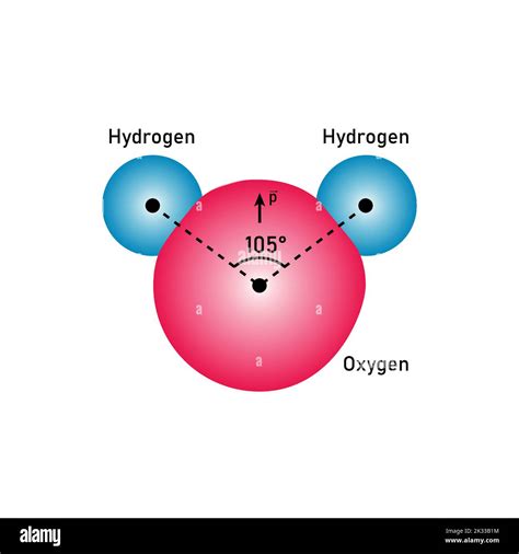 Polar Covalent Bond Cartoon