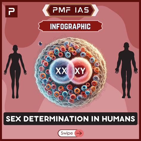 Pmf Ias 🧬 Decode The Mystery Of Life Understand Sex Facebook