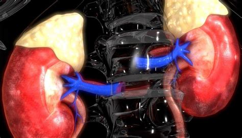 Hyperphosphatemia Causes Symptoms And Treatment