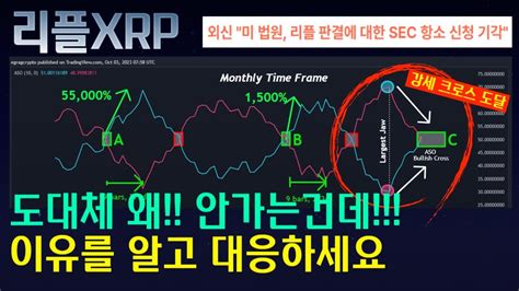 리플 Xrp 도대체 왜 안가는건데 이유를 알고 대응하세요 Youtube