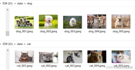 Pytorch：torchvision的简单介绍与使用 Csdn博客
