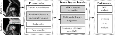 The Schematic Overview Of The Pawp Prediction Pipeline Including