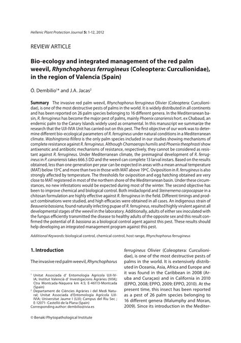 Pdf Bio Ecology And Integrated Management Of The Red Palm Weevil Rhynchophorus Ferrugineus