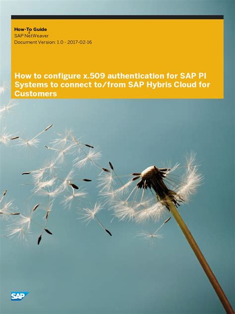 How To Configure Ssl In Java Systems Pdf Sap Se Transport Layer