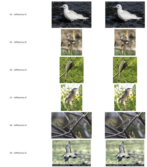 Locating Images Cub Dataset Vs Clips Training Data Photogeometry