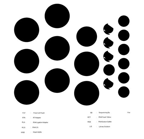 Nanopore Store Direct Rna Sequencing Kit Xl
