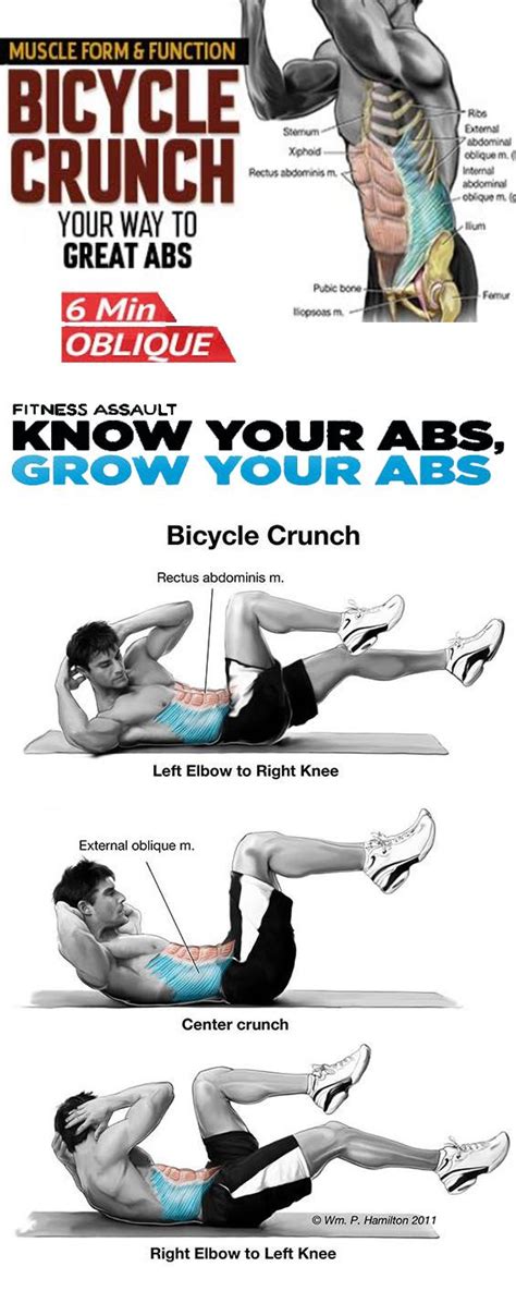 Bicycle Crunch Bicycle Crunches Core Training Exercises Workout Guide