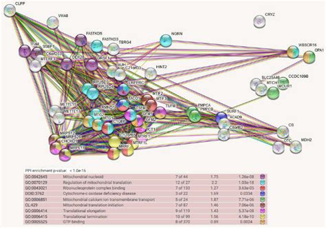 Mitochondrial Bioid Network Filtered For Interactions With Clpp As Download Scientific Diagram