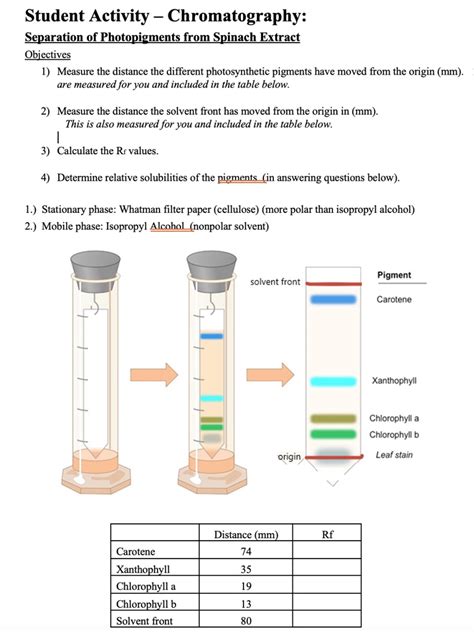 What Are The Components Of Column Chromatography At Samantha Hanlon Blog