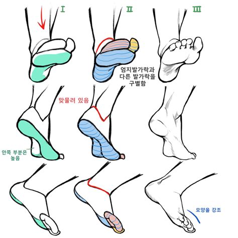 구조를 이해하면서 그린다 손과 발 그리기 강좌 그림 꿀팁사전