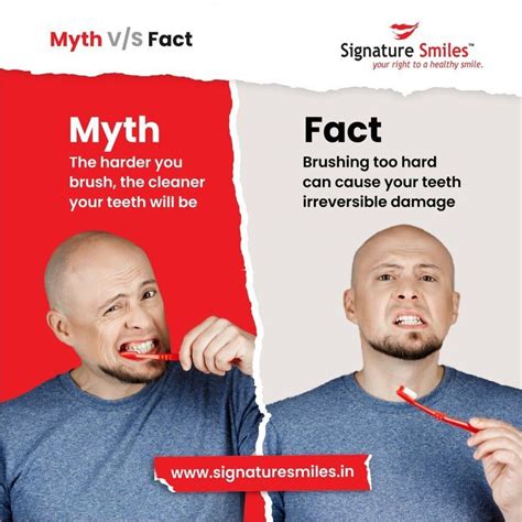 Myth Vs Fact Artofit