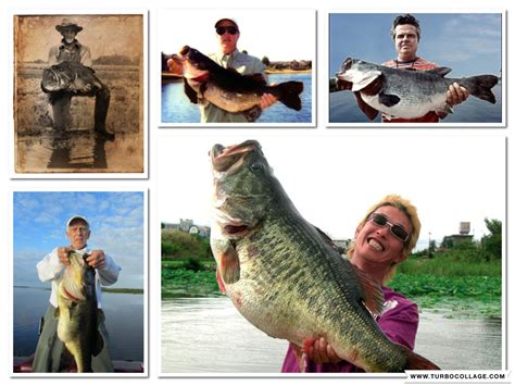 World Record Biggest Largemouth Bass Ever Caught Some Of The Biggest