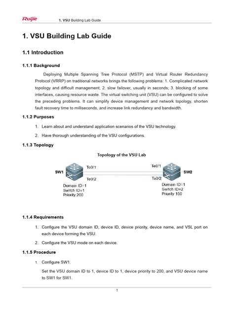 2 6 2 Vsu Lab Guide Pdf Computer Network Networking Standards