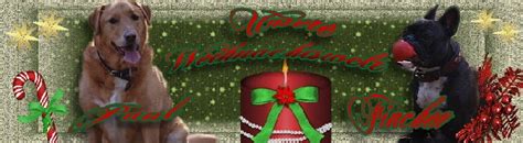 Otc Genisys Warzes Newseditpro Warze Lisa Warzeka Inmate