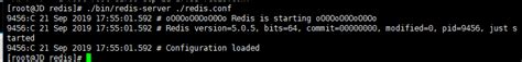 Linux环境下 Redis 配置文件linux Redis 没配置文件 Csdn博客